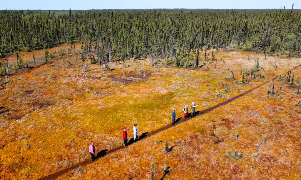 Canada’s First Nations Protect Millions of Acres of Their Lands - The ...